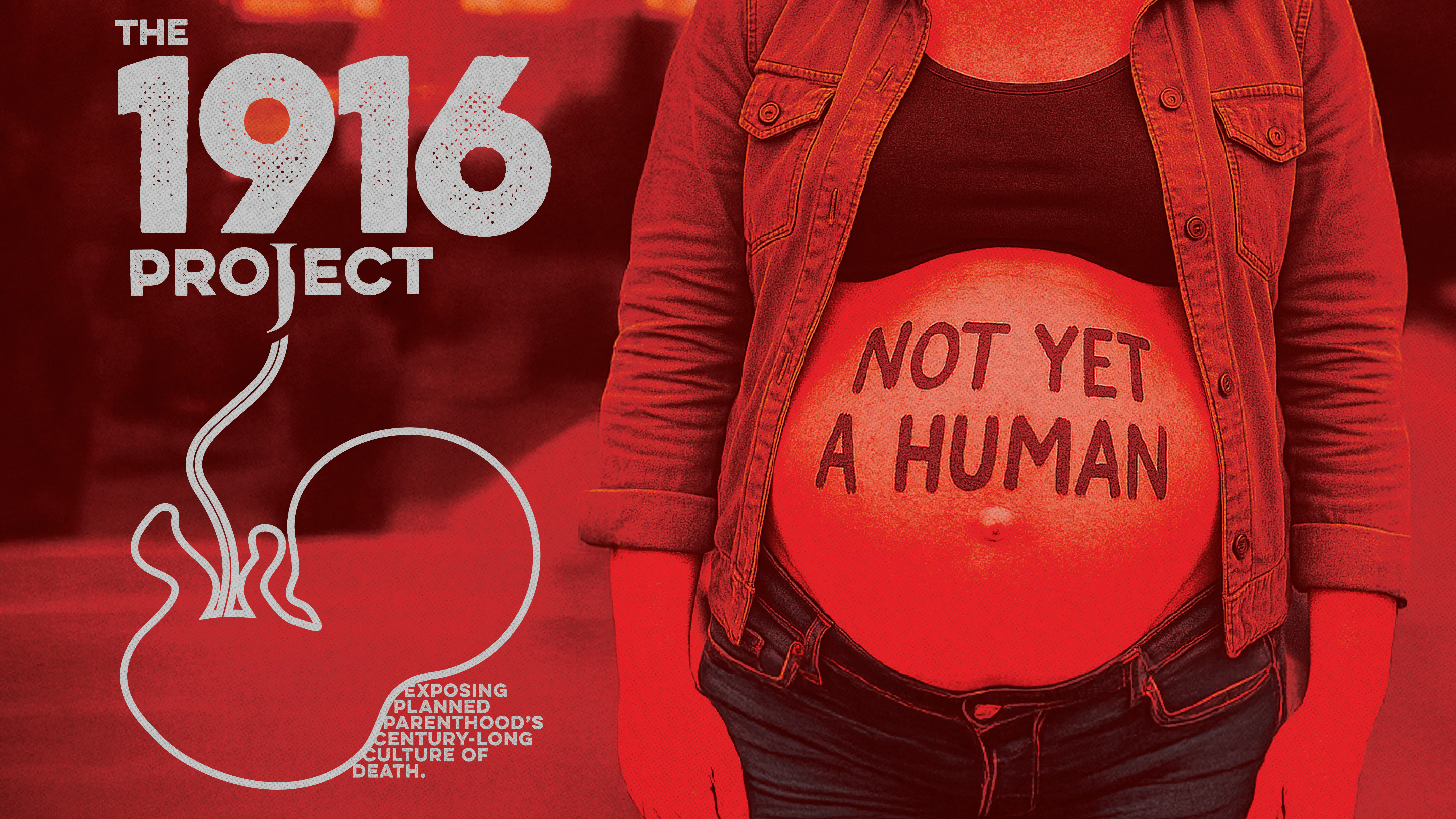 The 1916 Project